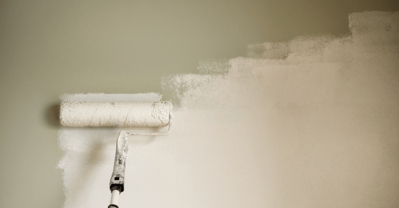 Interior Paint Comparison: Benjamin Moore vs Sherwin Williams