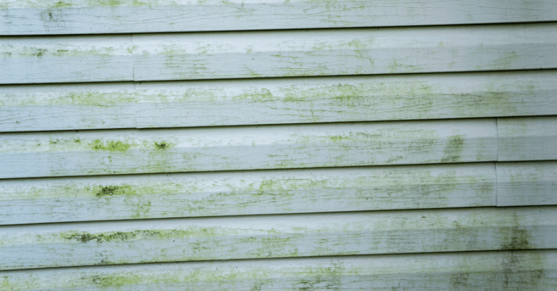 Sherwin Williams vs Benjamin Moore Exterior Paint Comparison